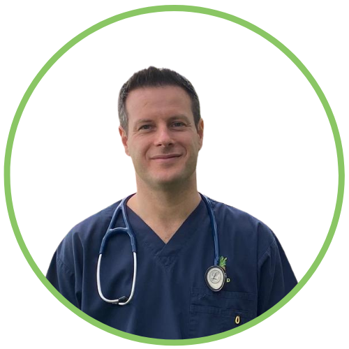 Program – ASMIRT Conference 2022